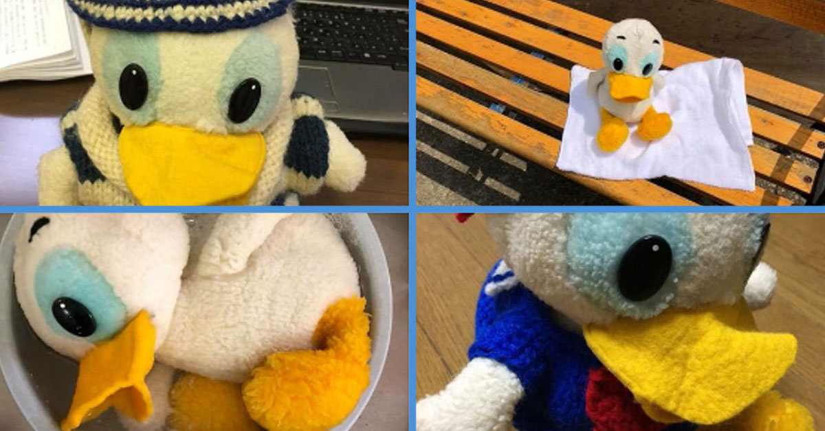 Museum Lost & Found Held On To Soft Toy For 30 Years, Washes & Made New ...