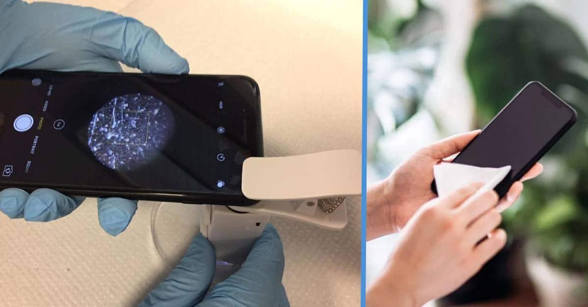 Video of a Cleanliness Test Conducted on Smartphones Shows How Dirty ...
