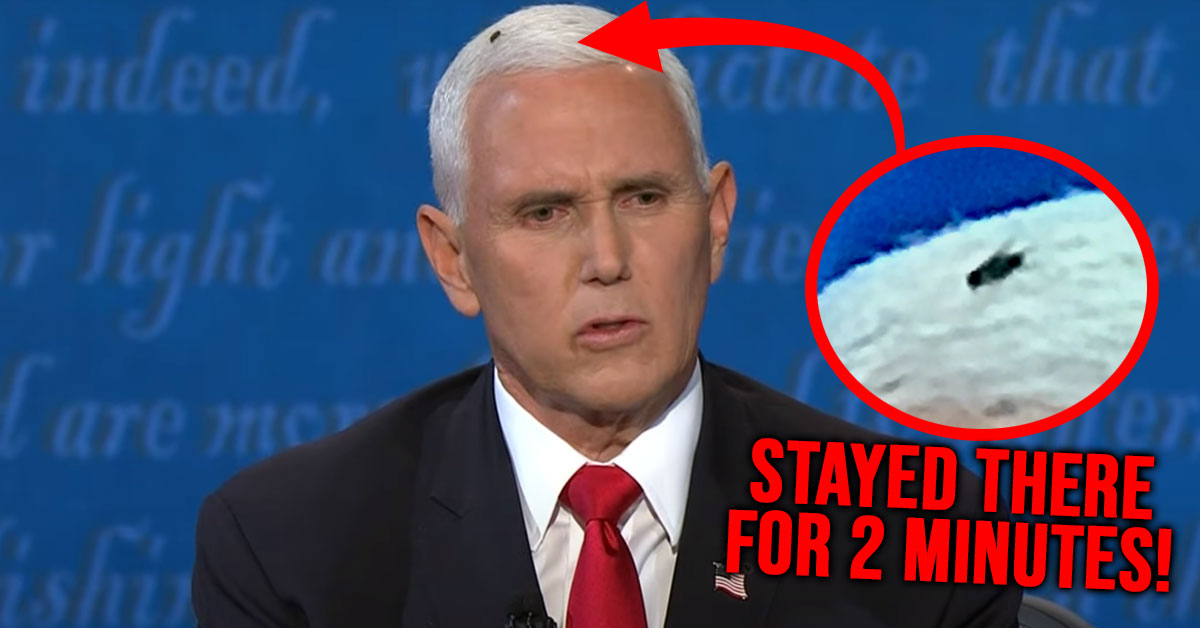 Everyone is Focusing on a Fly That Stayed on VP Mike Pence’s Head ...
