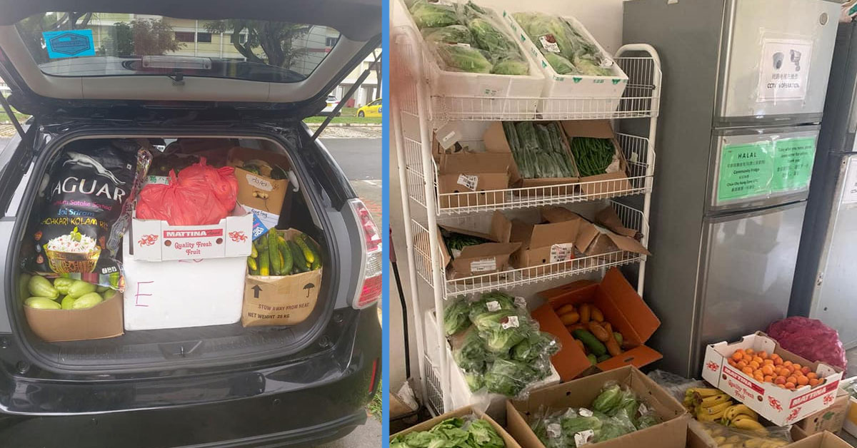 Volunteers Have Been Taking 'Rejected' Veggies / Fruits & Putting Them ...