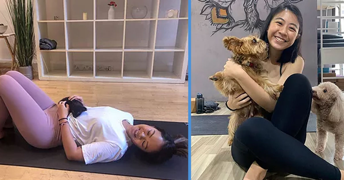 Fresh Grad & Certified Yoga Instructor Started S’pore’s First Dog Yoga ...