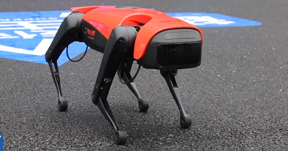 Alpha Dog Robot