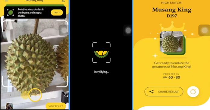 There’s an App That Helps You Identify What Durian It Is - Goody Feed