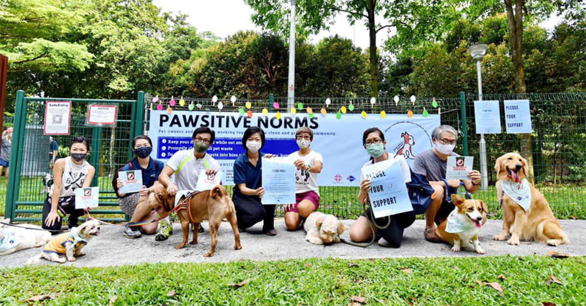 Youth Group Launches Campaign to Encourage Dog Owners to Clean Up After ...