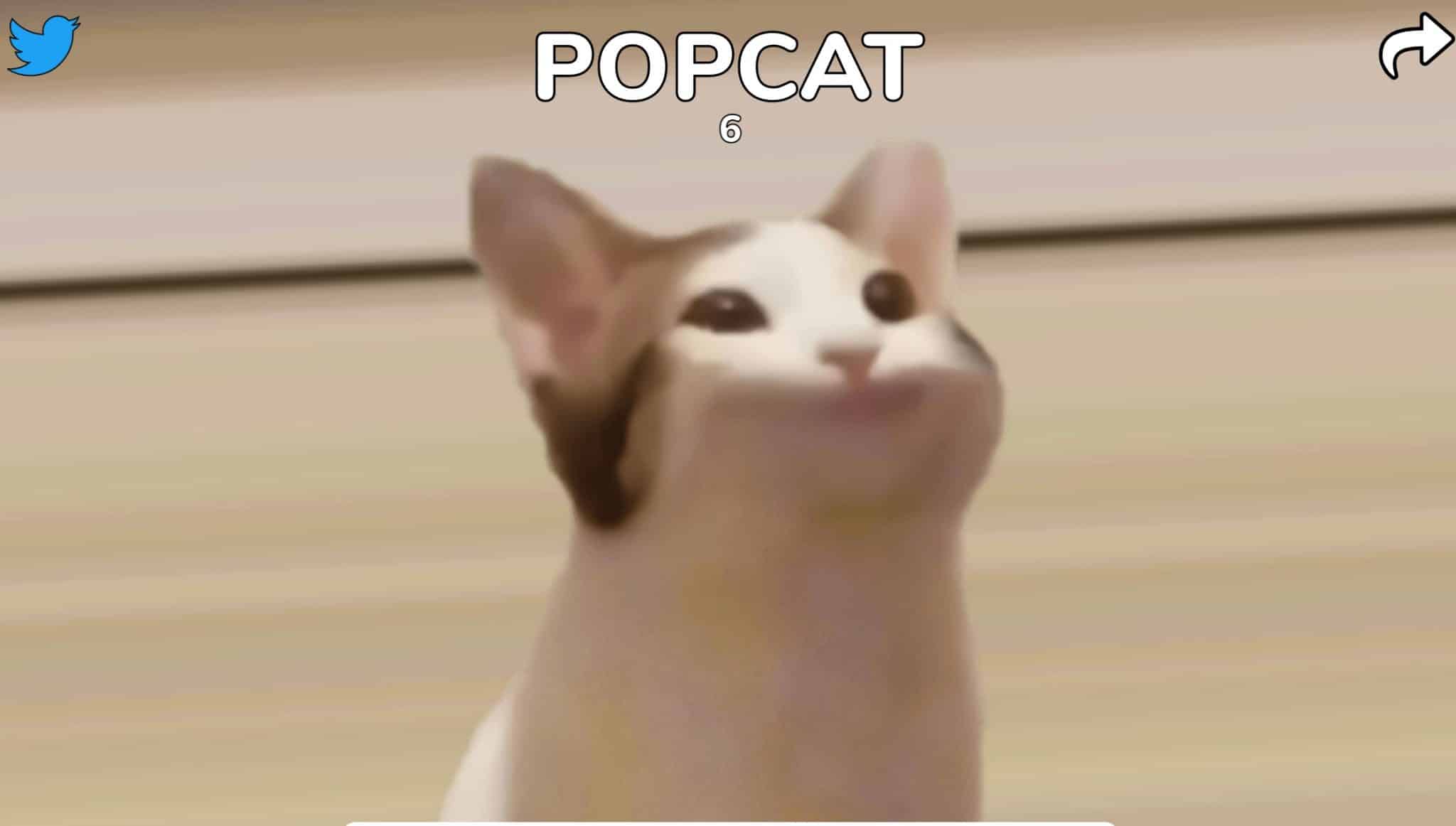 Everything About the Popcat Game & How The Trend Started - Goody Feed