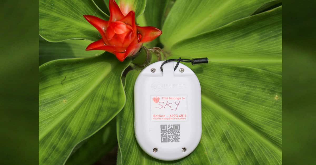 First-Time TraceTogether Token Users Can Now Get Token Delivered to ...