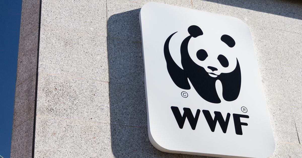 Former Employee in WWF S’pore Claims Workplace Bullying Gave her PSTD ...