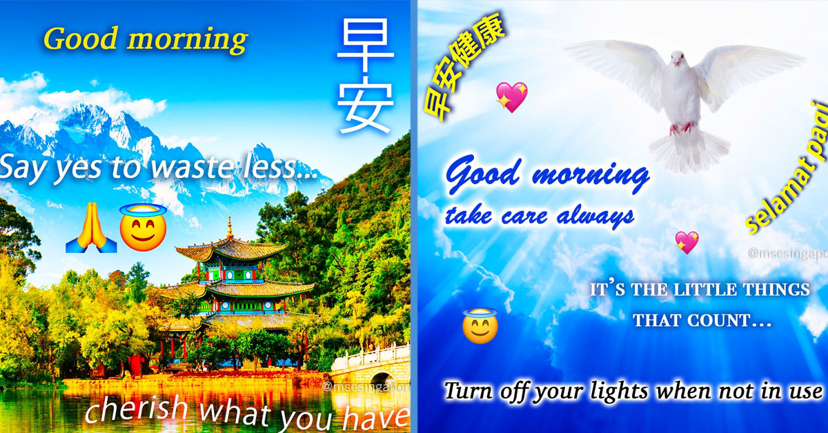 S’pore Ministry Posts Boomer Morning Greetings To Spread Important ...