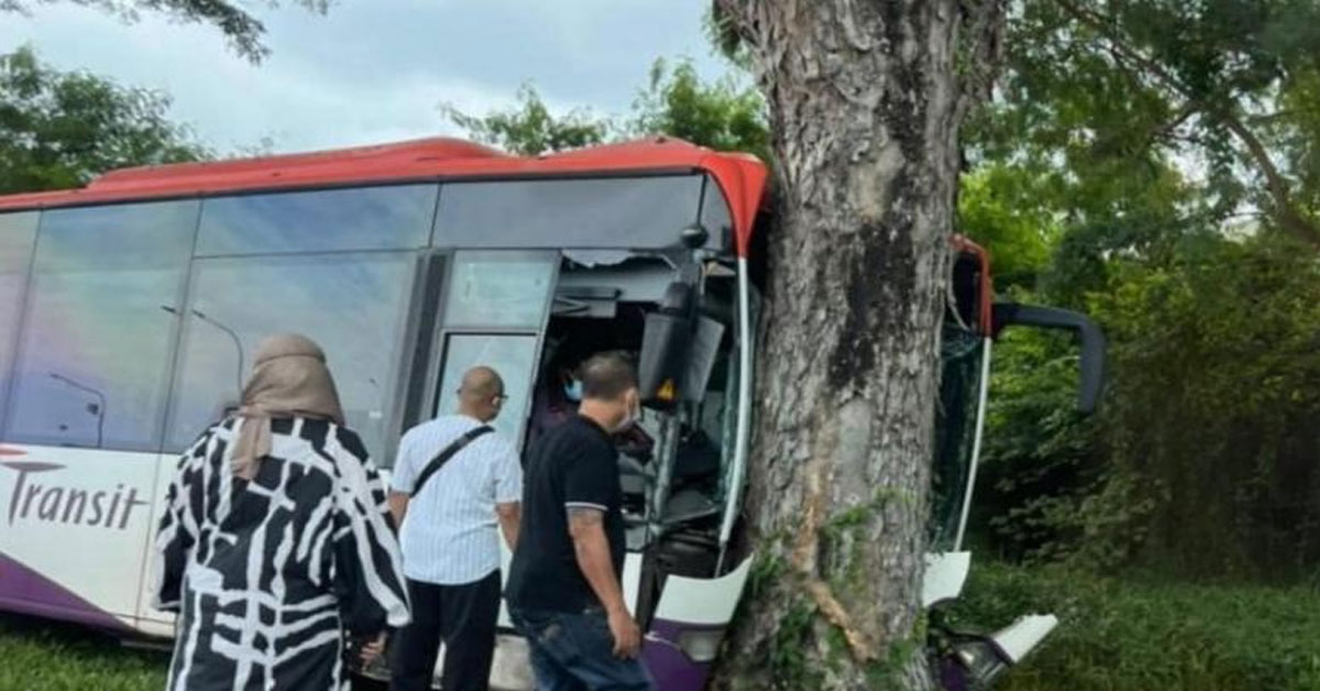 6 People Injured After SBS Bus Crashed Into a Tree; Bus Captain Has ...