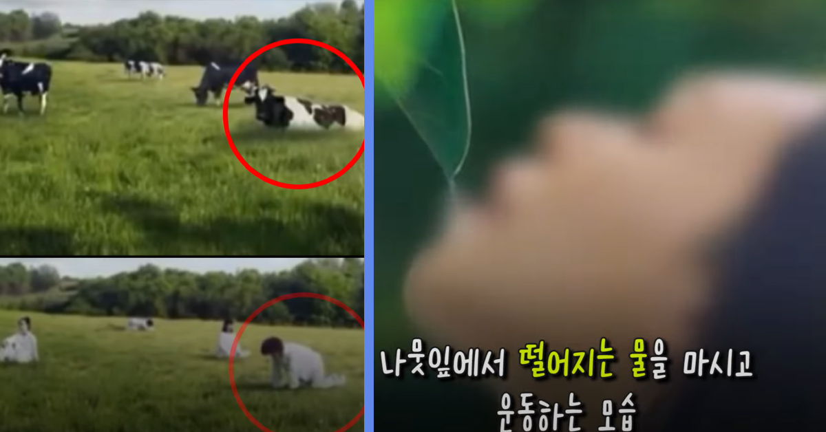 Milk Company Slammed for Turning Women into Cows in an Adv Video ...