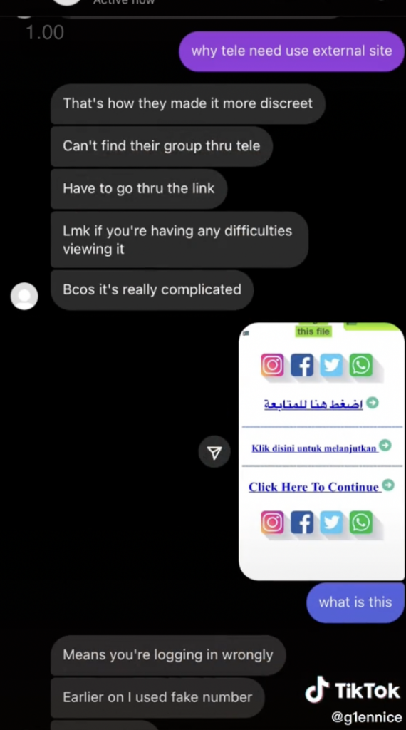 S'pore Woman Received Message Saying Her Photos Were Leaked in Telegram ...