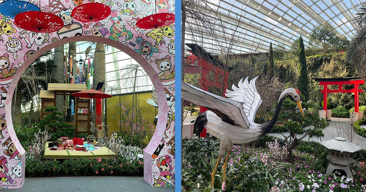 Gardens by the Bay Having Sakura Floral Display, This Time With ...