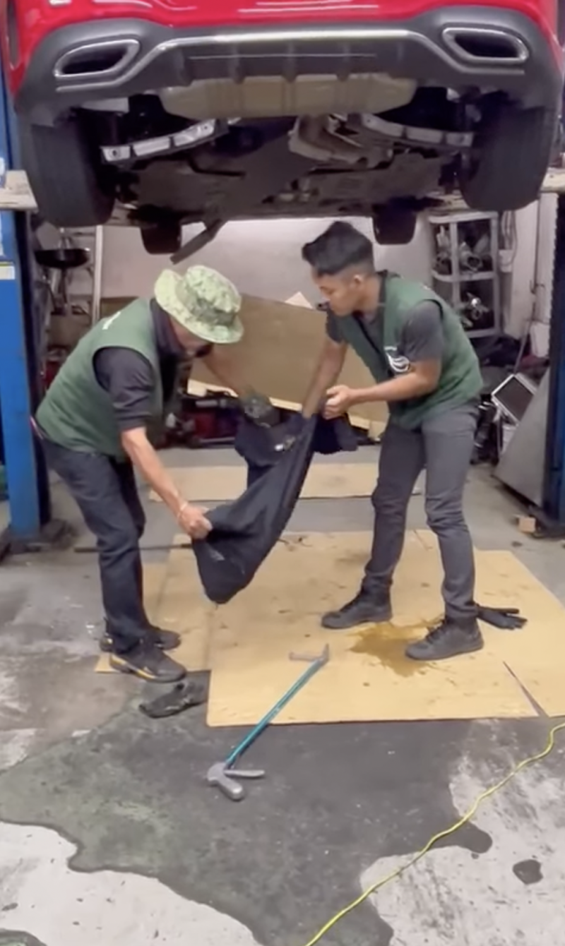 Snake That Was Found Under Car During Servicing Bit NParks Contractor ...