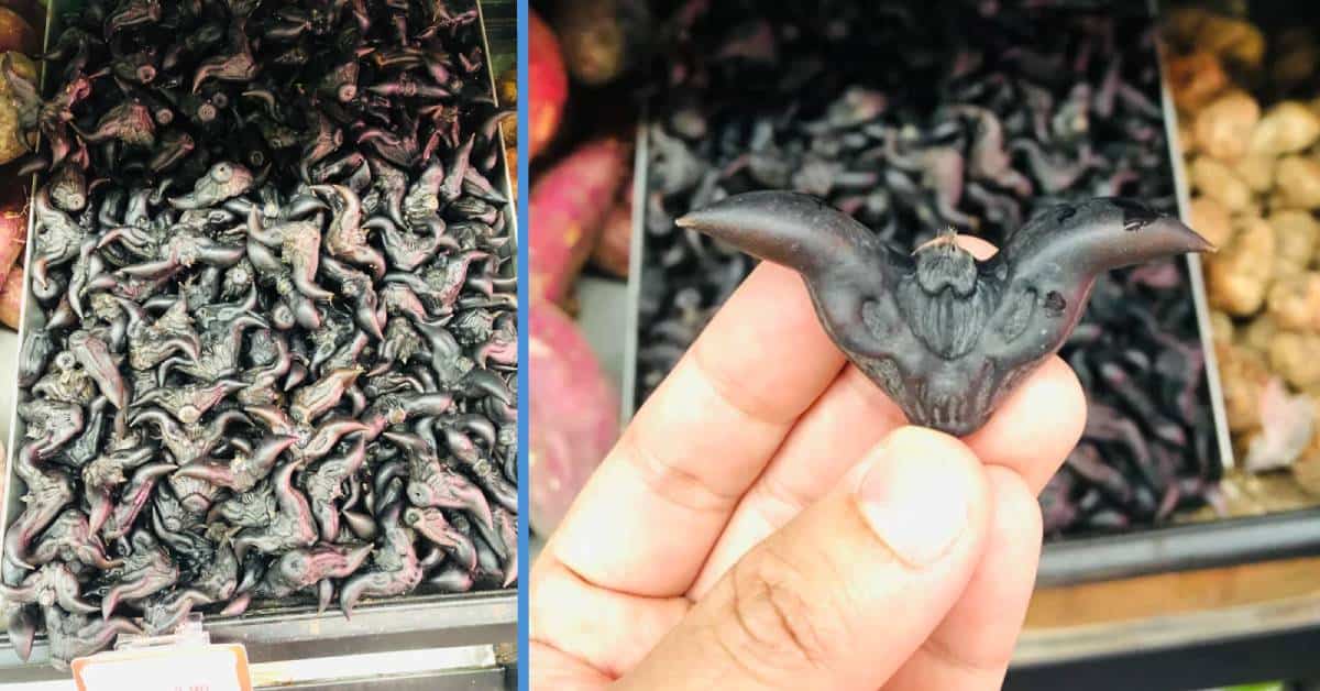 Sheng Siong Selling This ‘Batman Nut’ That’s Edible & Looks Like a ...