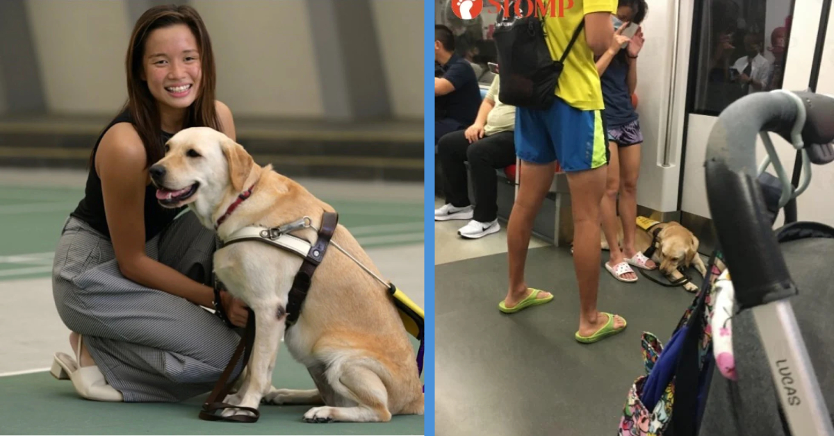 Stomper Slammed for Complaining About Guide Dog in MRT Train - Goody Feed