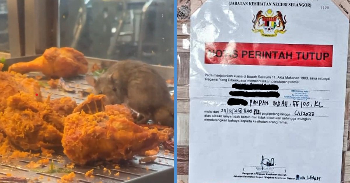 KL Restaurant Closed After Video of Rat Munching on Fried Chicken Went ...