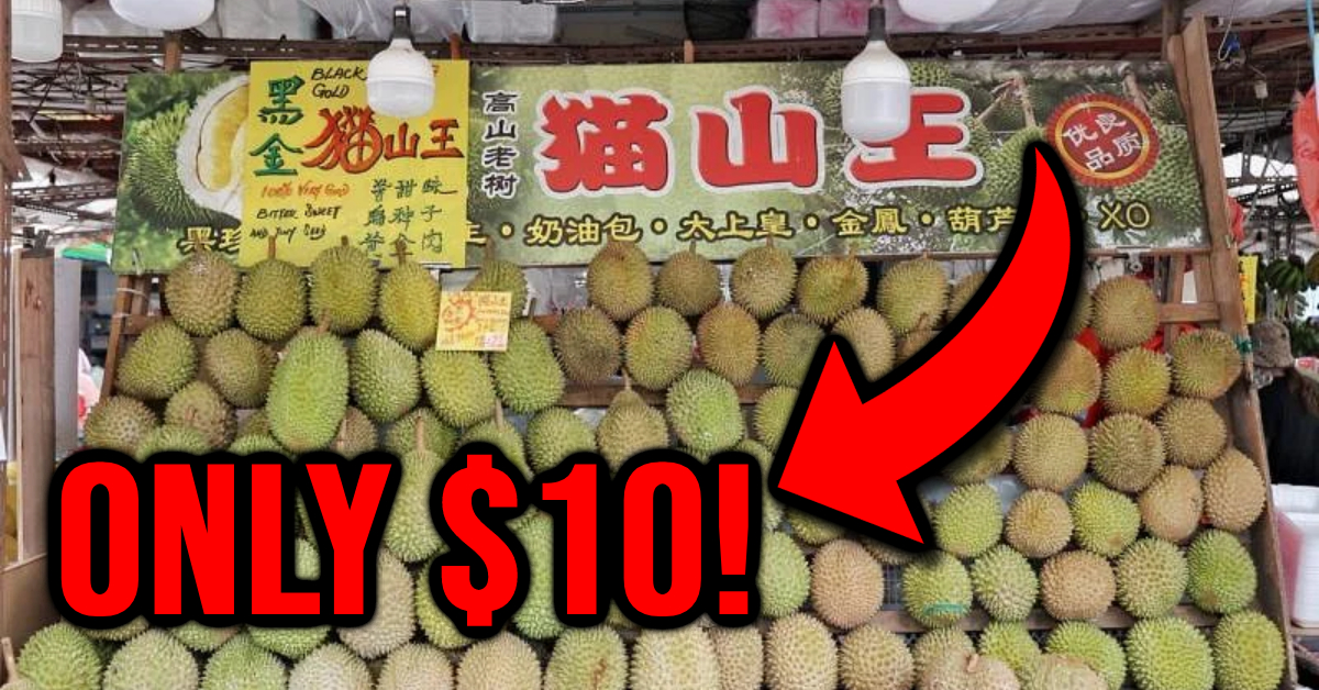Durian Prices Have Fallen to the Lowest in 4 Years with MSW at $10 Per ...