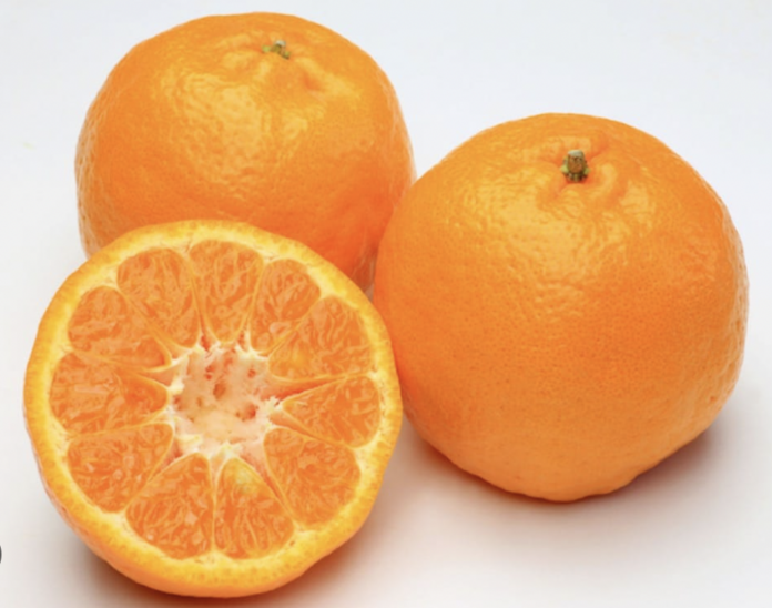 Here’s a Useful Guide to the Different Types of Mandarin Oranges You ...