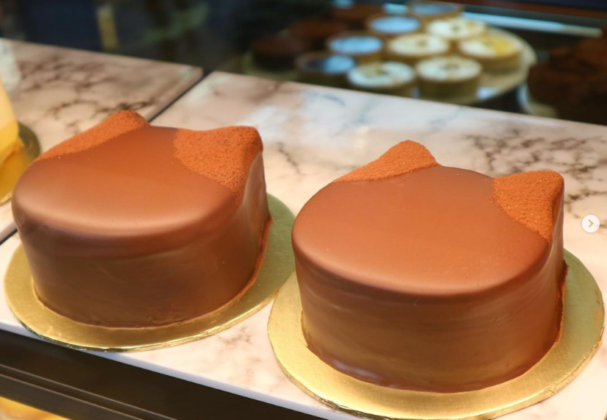CATBAKE is a New Cat-Themed Bakery in The Star Vista - Goody Feed