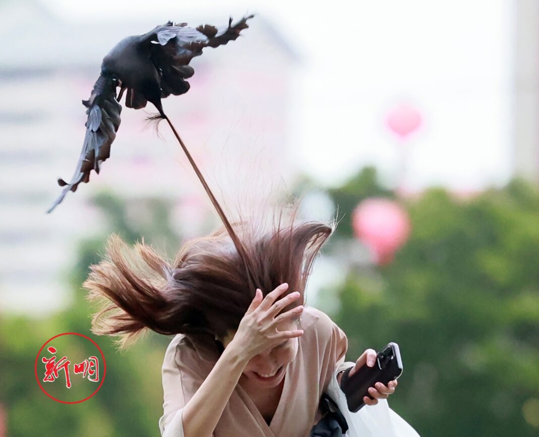 Aggressive Crows Attacked 10 Passers-By in 20 Minutes in Bishan - Goody ...