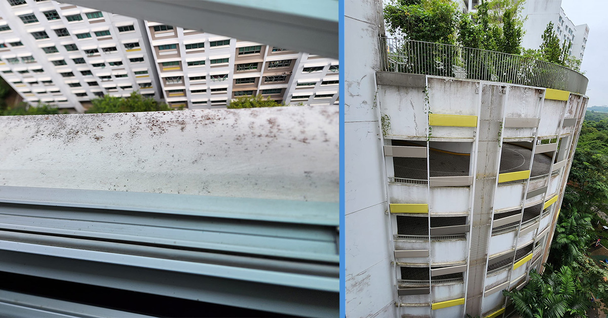 HDB to Commission Study to Look Into Mould Growth at Sengkang & Punggol ...