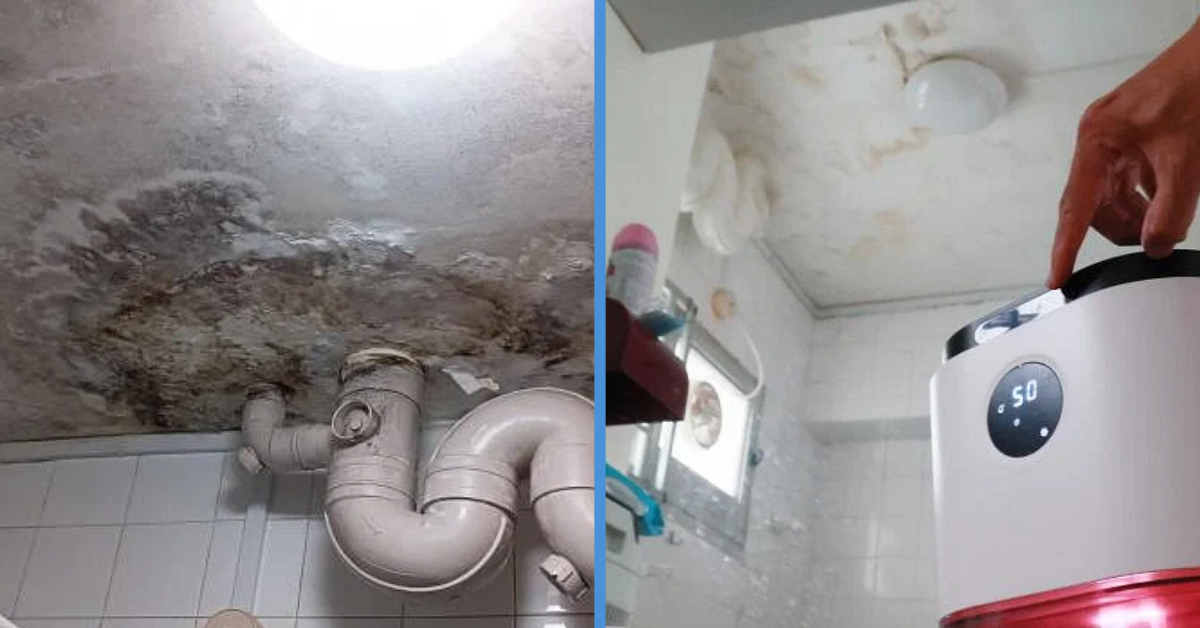 After Upstairs Neighbour’s Renovations, Unit Downstairs Started to Have ...