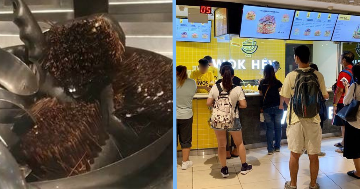 SFA Investigating After Multiple Insects Found Crawling in Wok Hey’s ...