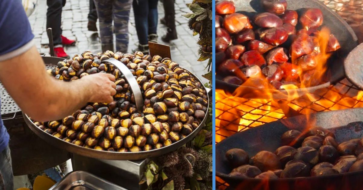 62YO Chestnut Uncle Fined S$27.6K For Illegally Selling Roasted ...