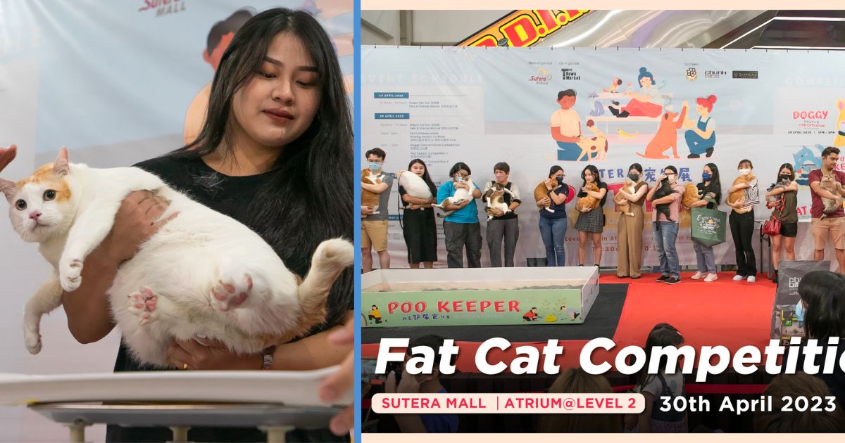 JB Mall Faces Social Media Backlash over "Fat Cat Competition" - Goody Feed