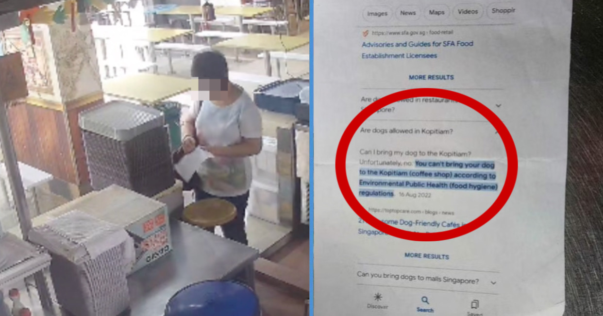 woman-protests-by-printing-google-search-result-after-chicken-rice-stall-serves-guide-dog-owner