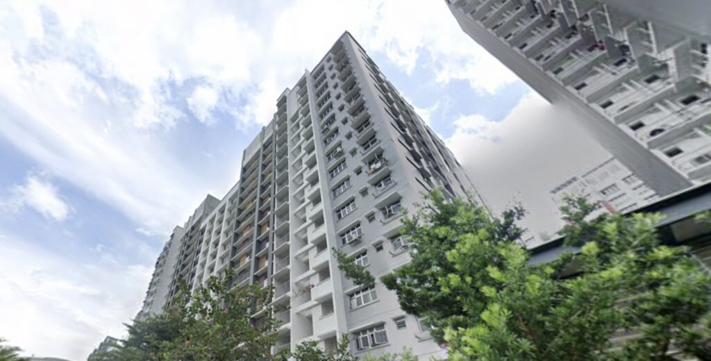 Punggol Residents Allegedly Threw Food from HDB Flats for Birds ...