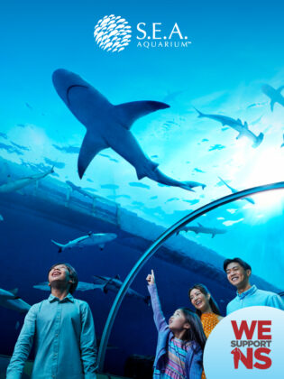 10 SAF Day 2023 Promotions That Make Us Dig Out Our Dusty 11B - Goody Feed