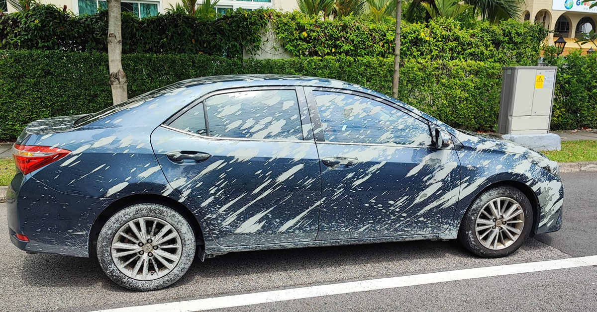 Car Gets Concrete Bath from Speeding Cement Mixer at Mountbatten ...