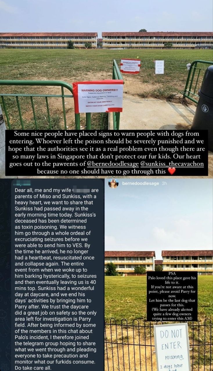 Parry Avenue Field Reopens As There's No Evidence That Links It to The ...