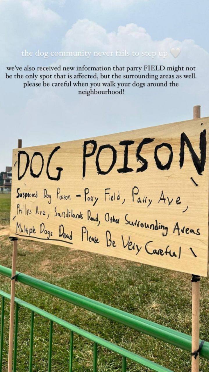 Parry Avenue Field Reopens As There's No Evidence That Links It to The ...