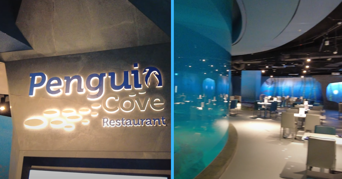 There’s a Penguin-Themed Buffet Restaurant in Bird Paradise With 50% ...