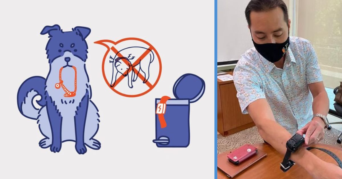 Everything About Electronic Collars, Which Was Debated in Parliament ...