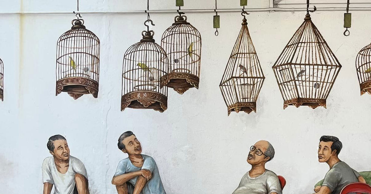 Everything About Bird Singing in Singapore, a Sunset Hobby for Seniors ...
