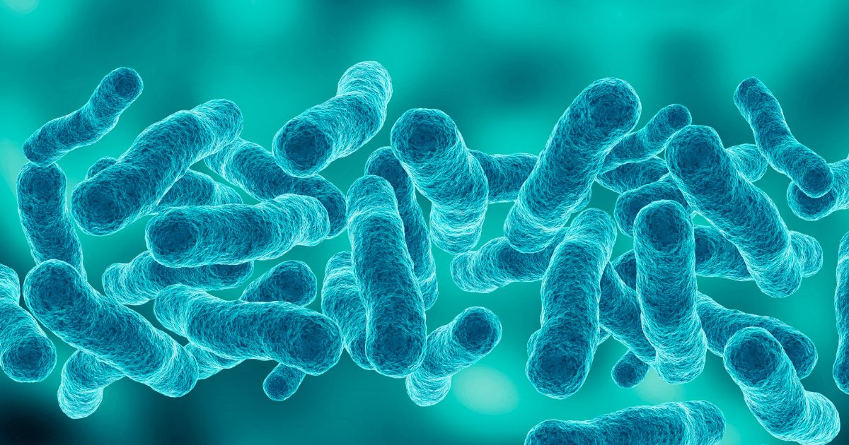 Eating Some Bacteria is Actually Good For You. Here’s Why. - Goody Feed
