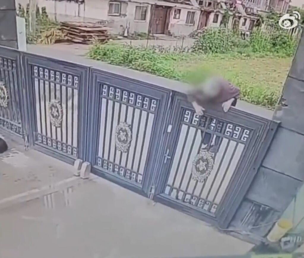 92YO Woman Climbs 2-Metre-Tall Gate in 24 Seconds to Escape Nursing ...