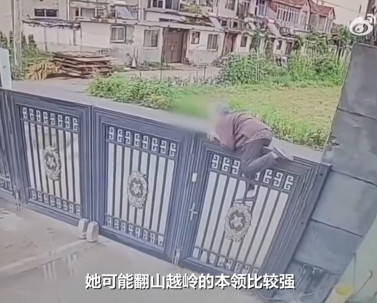 92YO Woman Climbs 2-Metre-Tall Gate in 24 Seconds to Escape Nursing ...