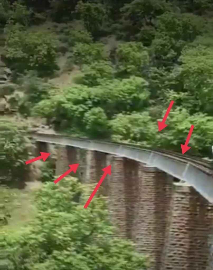 Photo-taking Couple Survives 27-Metre Plunge off India Bridge to Escape ...