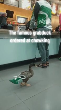 Duck in Grab Uniform Assisting Delivery Rider in Shopping Mall Went ...
