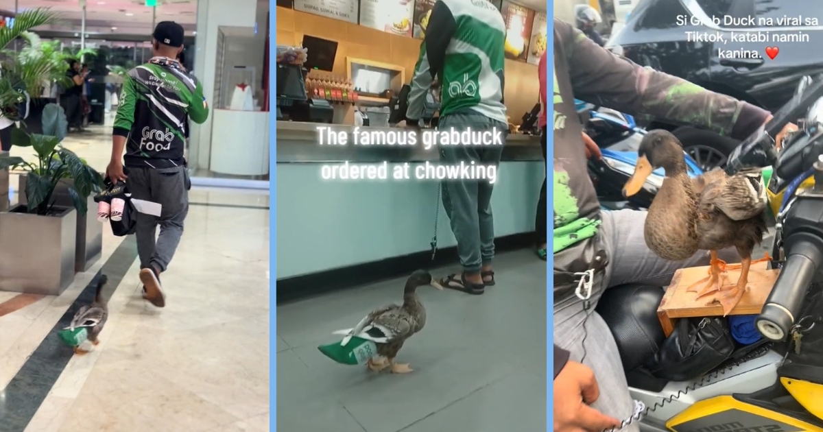 Duck in Grab Uniform Assisting Delivery Rider in Shopping Mall Went ...
