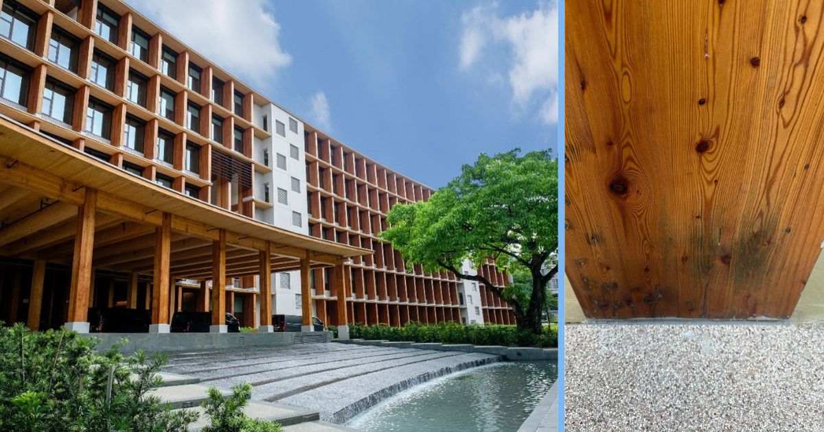 NTU’s $125 Million Sustainable Wooden Building Has Signs of Moulding ...
