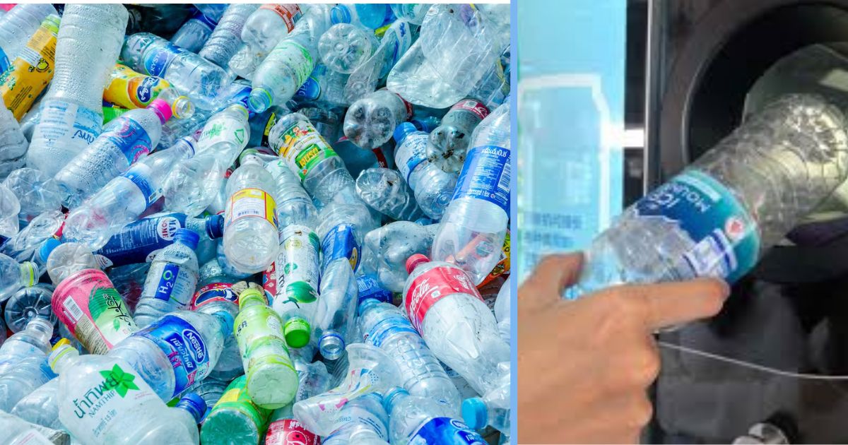 Everything About the $0.10 Beverage Container Return Scheme, Which Will ...