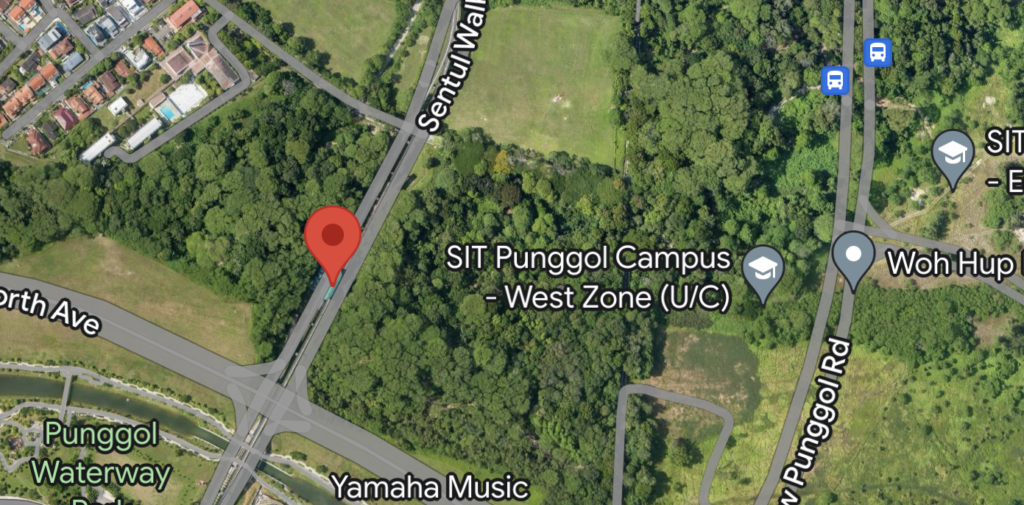 Teck Lee LRT Station, Which Has Remained Closed Since It Was Completed ...