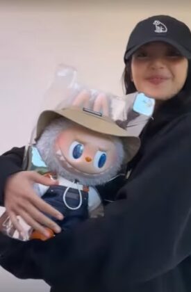 Everything You Need to Know About Labubu, The Pop Mart Figure Everyone ...