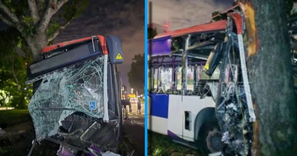 SBS Bus Driver Dies After Bus Reportedly Skidded, Crashing Into ...