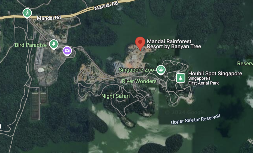 Everything About the New Mandai Rainforest Resort, Which Will Open in ...